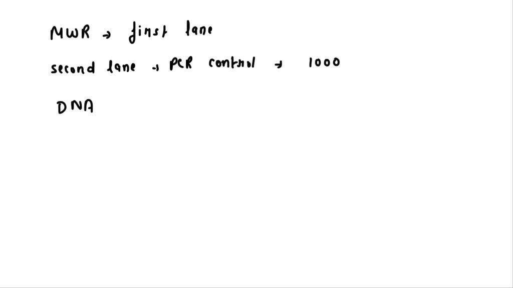 SOLVED: Lane Sample 1 Molecular weight ruler (MWR) Positive PCR control ...
