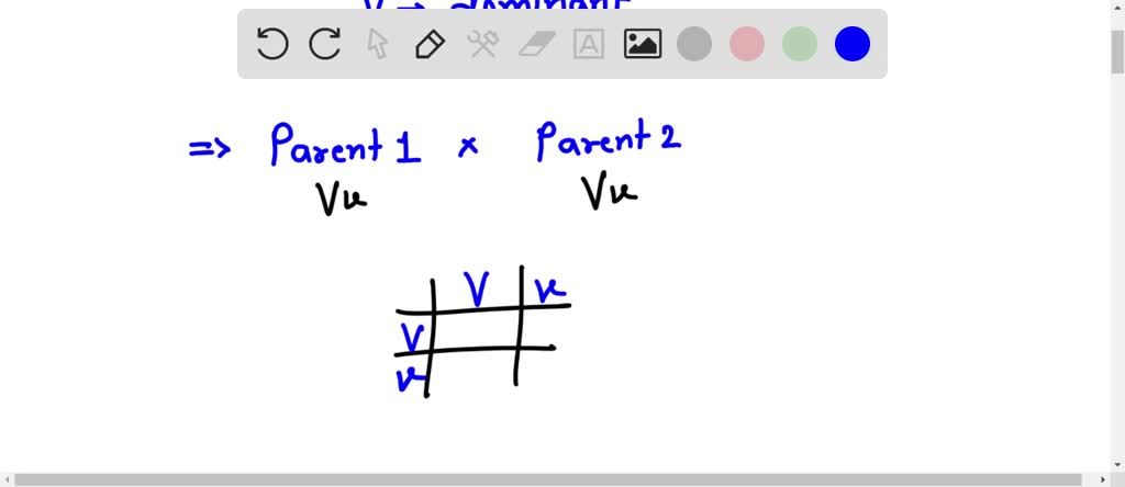 SOLVED: Autosomal Dominant: Punnett Square Using V and v for the ...