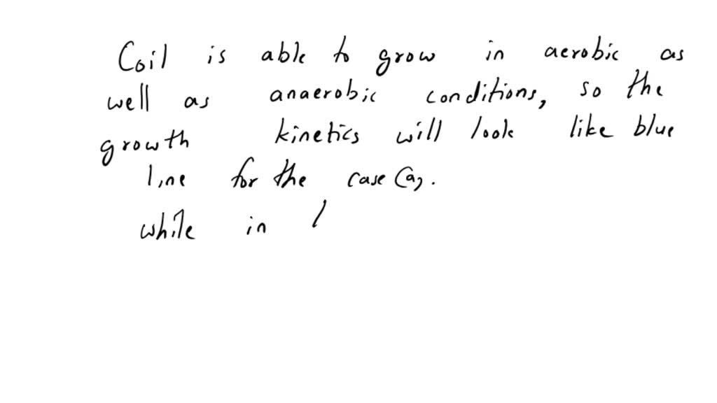SOLVED: After you install a new DHCP server on your network, you need ...