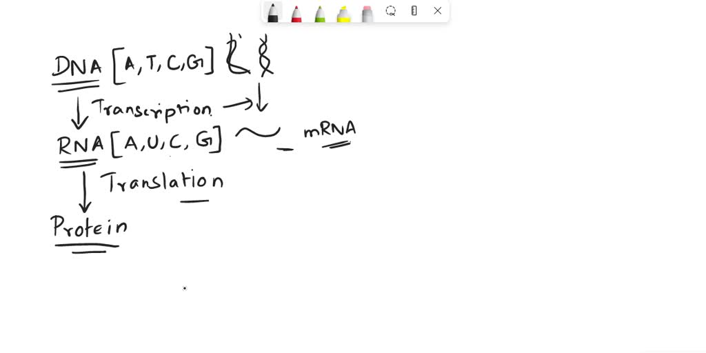SOLVED: 'Check all ways below to ensure that the bases in RNA are ...