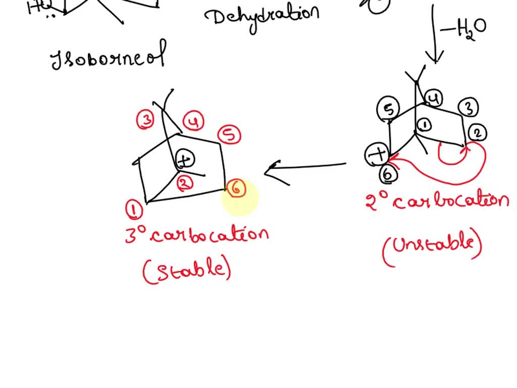 SOLVED: Draw the full mechanism for the E1 dehydration of isoborneol ...