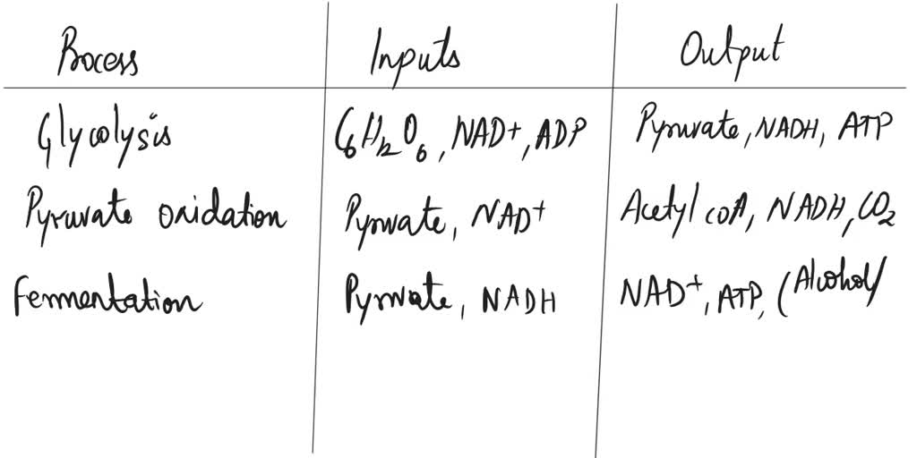 SOLVED: Create a diagram connecting the inputs and outputs for the following pathways ...