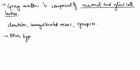 11) The surface of the postcentral gyrus contains the ...