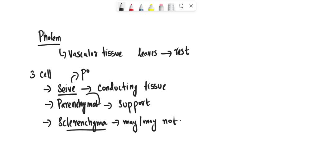 SOLVED: Explain how the "Polymer trapping model" helps load sucrose ...