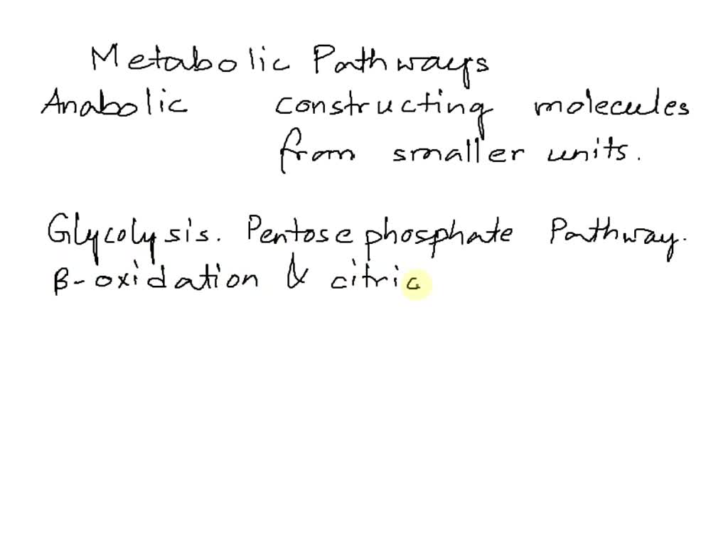 SOLVED: Which is the core metabolic pathway, especially for an ... SOLVED: Which is the core metabolic pathway, especially for an ...