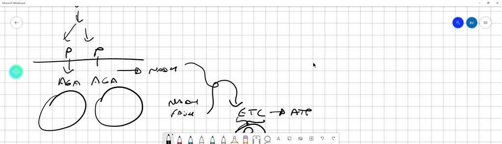 SOLVED: The oxygen atoms used to form water in the complete reactions ...