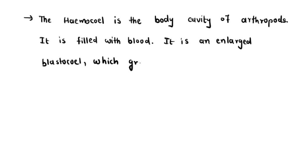 SOLVED: 8. Which of the following are haemocoelomates? a) Arthropoda b ... SOLVED: 8. Which of the following are haemocoelomates? a) Arthropoda b ...