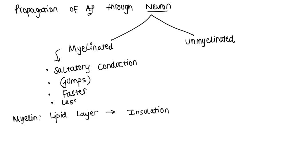 SOLVED: The major difference between continuous propagation and ...