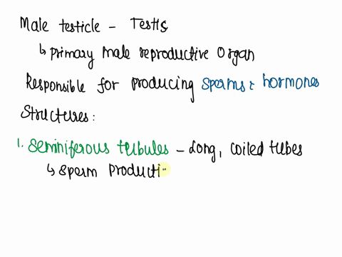 Dents and the testicie3 what are the oval shaped organs...