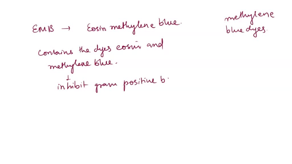SOLVED: True or false1) Durham's tube is used in sugar fermentation ...