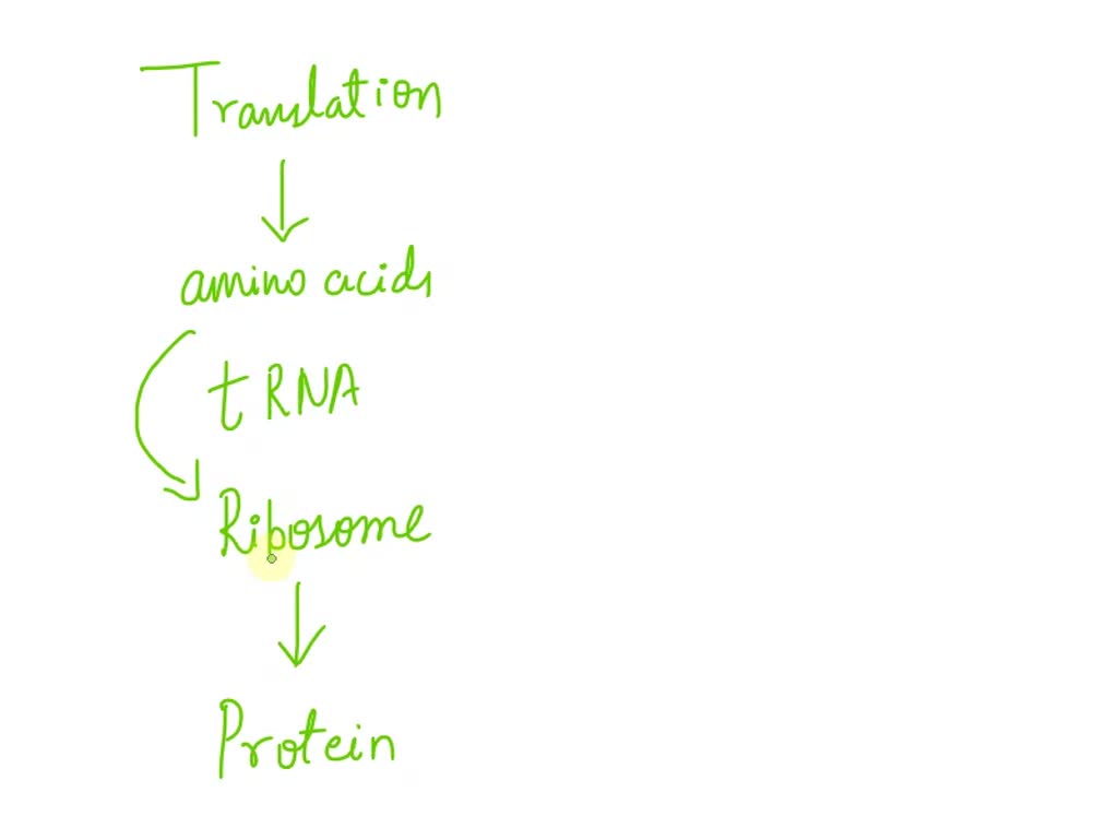 SOLVED: a construction worker brings hollow blocks to build a wall.what ...