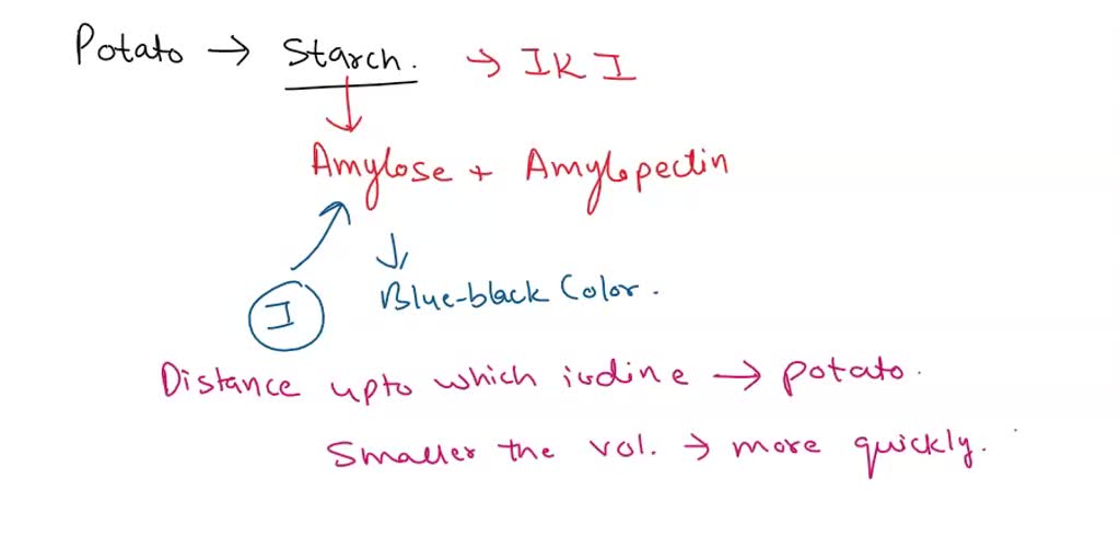 SOLVED: The potato blocks used in this experiment are rich in starch ...