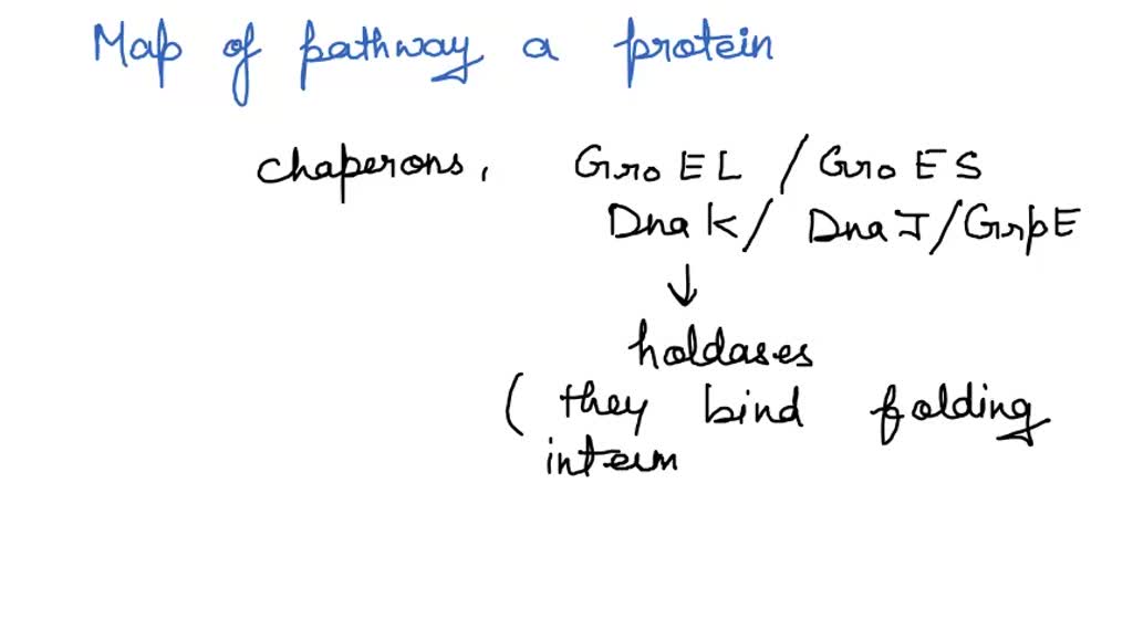 SOLVED: Draw a map of the pathway a protein will take when it is ...