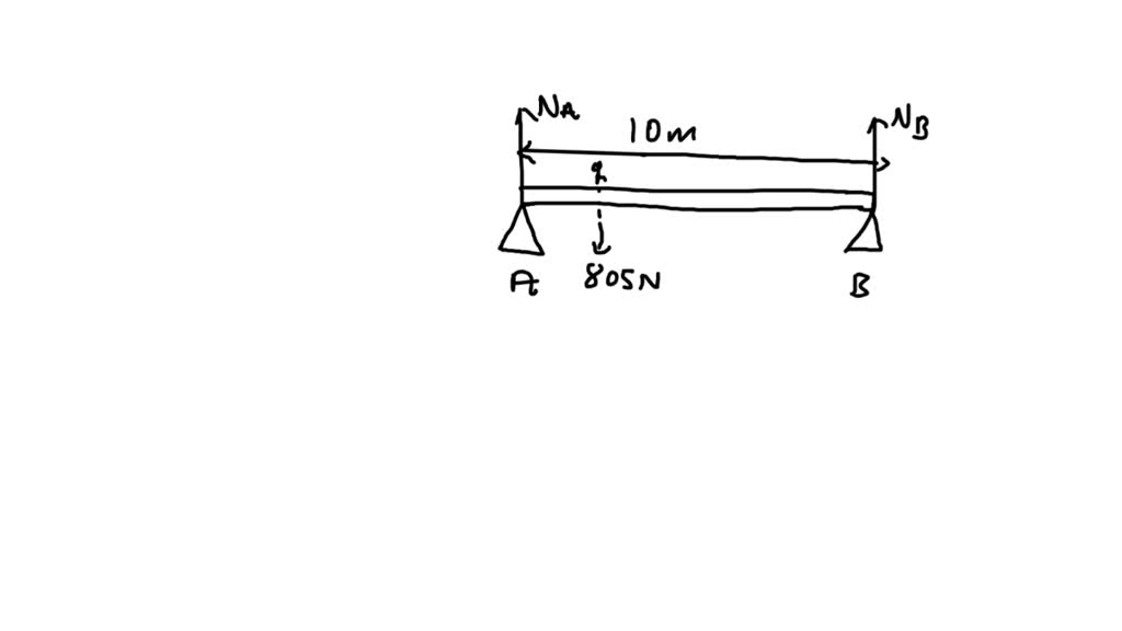 SOLVED: A tourist, who weighs 805 N, is walking through the woods and ...