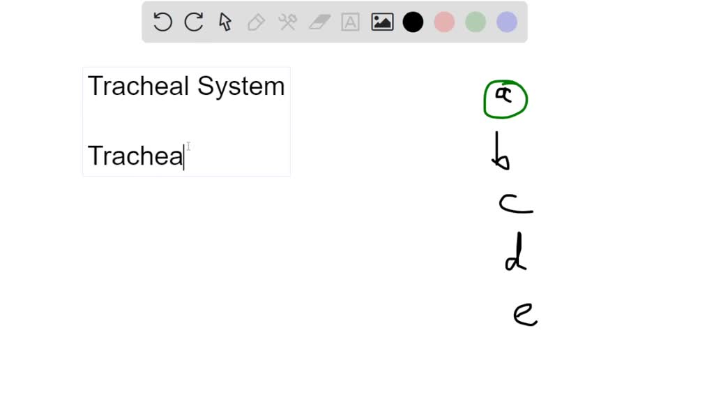 SOLVED: The learners are tasked to make a poem about an information ...