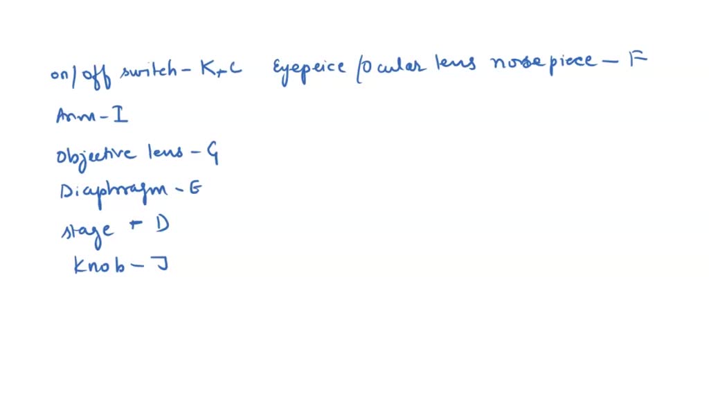 SOLVED: Structure of light microscope. Main components of mechanical ...