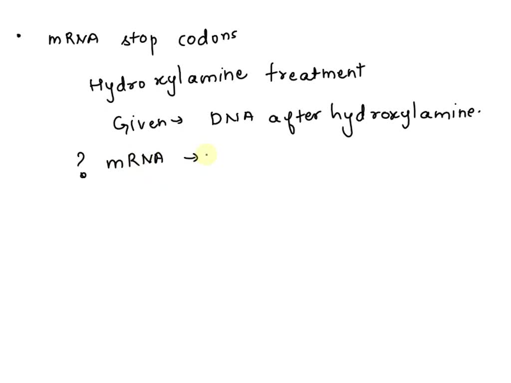 SOLVED: Step 5: Determine how treatment with hydroxylamine will alter ...