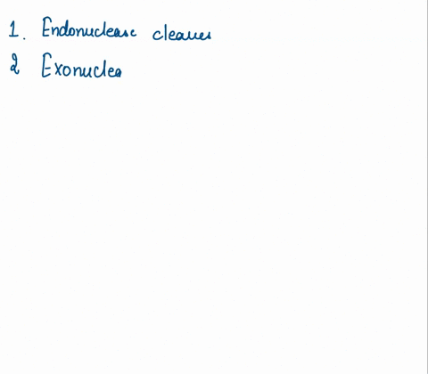 The Holliday Model and Double-Strand Break Model of...
