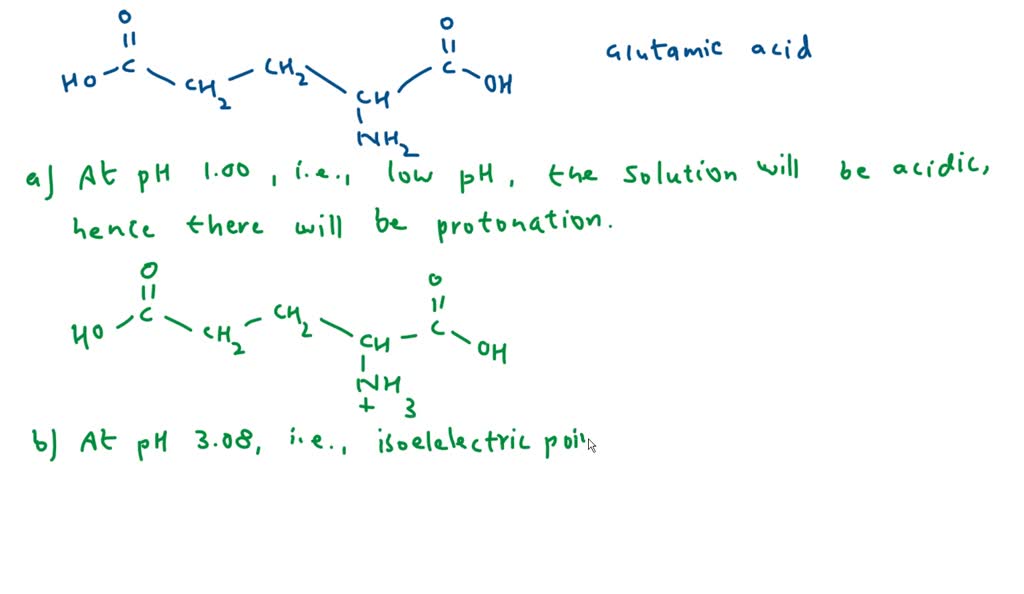 SOLVED: The isoelectric point (pI) of glutamic acid is pH 3.08. Draw ...