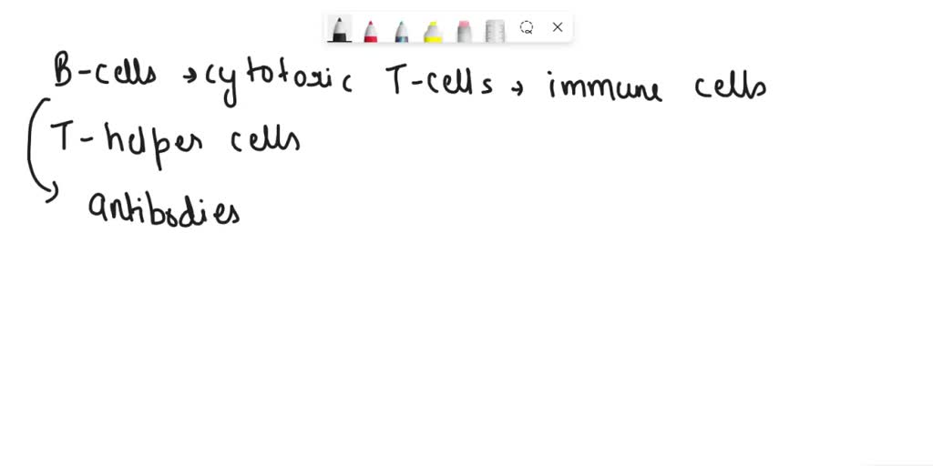 SOLVED: Which cell type(s) is (are) stimulated by a T-helper cell ...