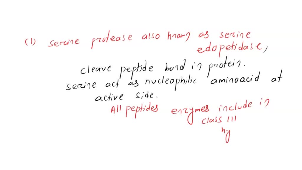 SOLVED: 16.) (pts) Shown below is the substrate for Elastase. (A) What ...