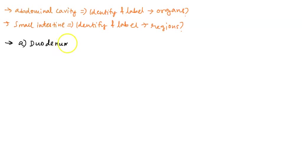 SOLVED: Practice: Main Organs Match the terms and definitions below to ...