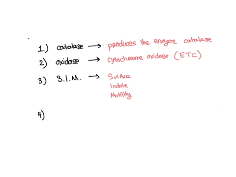 Enterobacter Cloacae Catalase Test