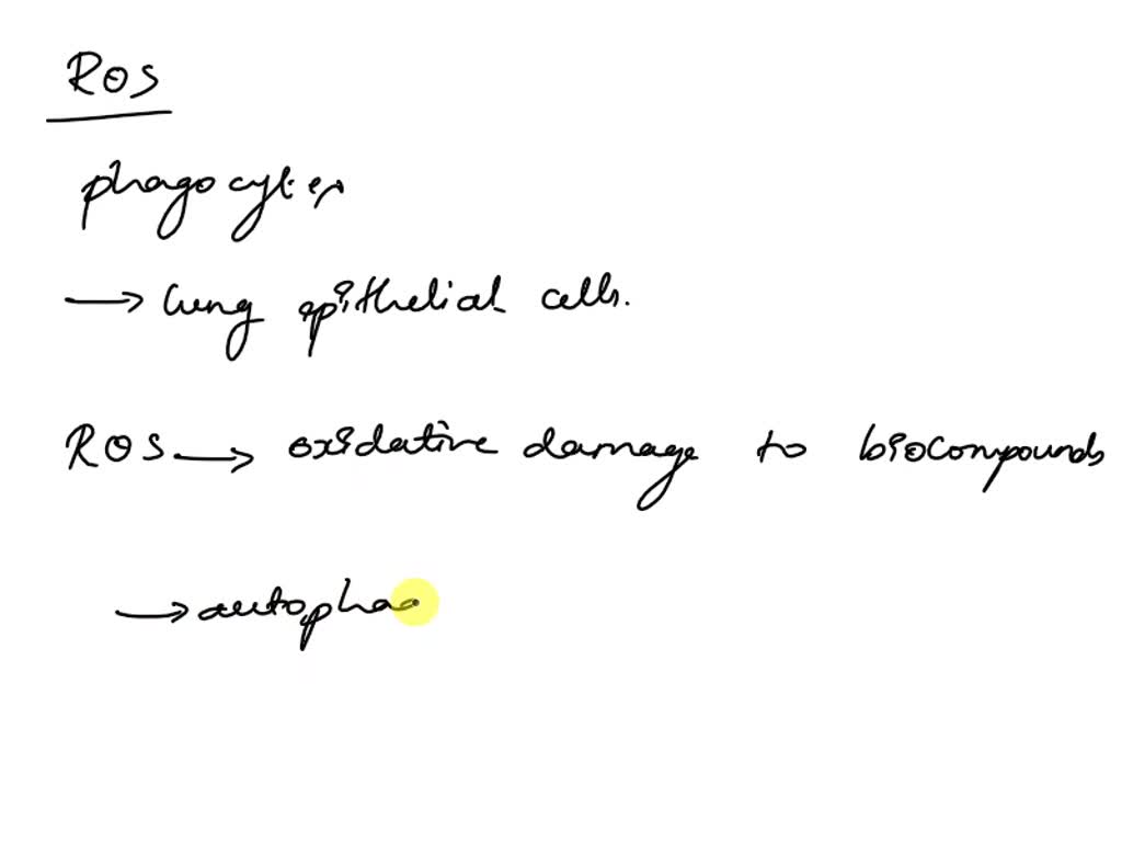 SOLVED: True or False: Alpha-defensins and reactive oxygen species (ROS ...