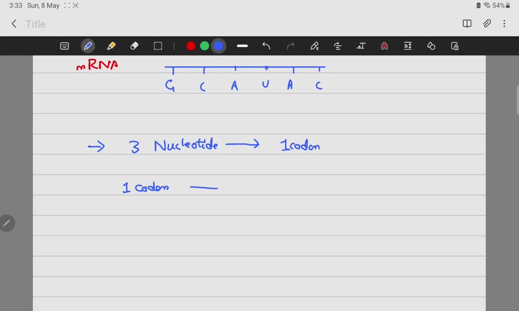SOLVED: How many potential reading frames exist in the following mRNA ...