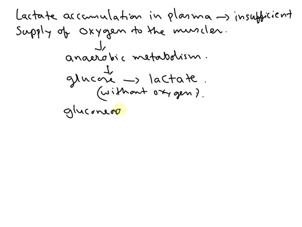 SOLVED: Explain, in detail, why lactate accumulation in plasma leads to ...