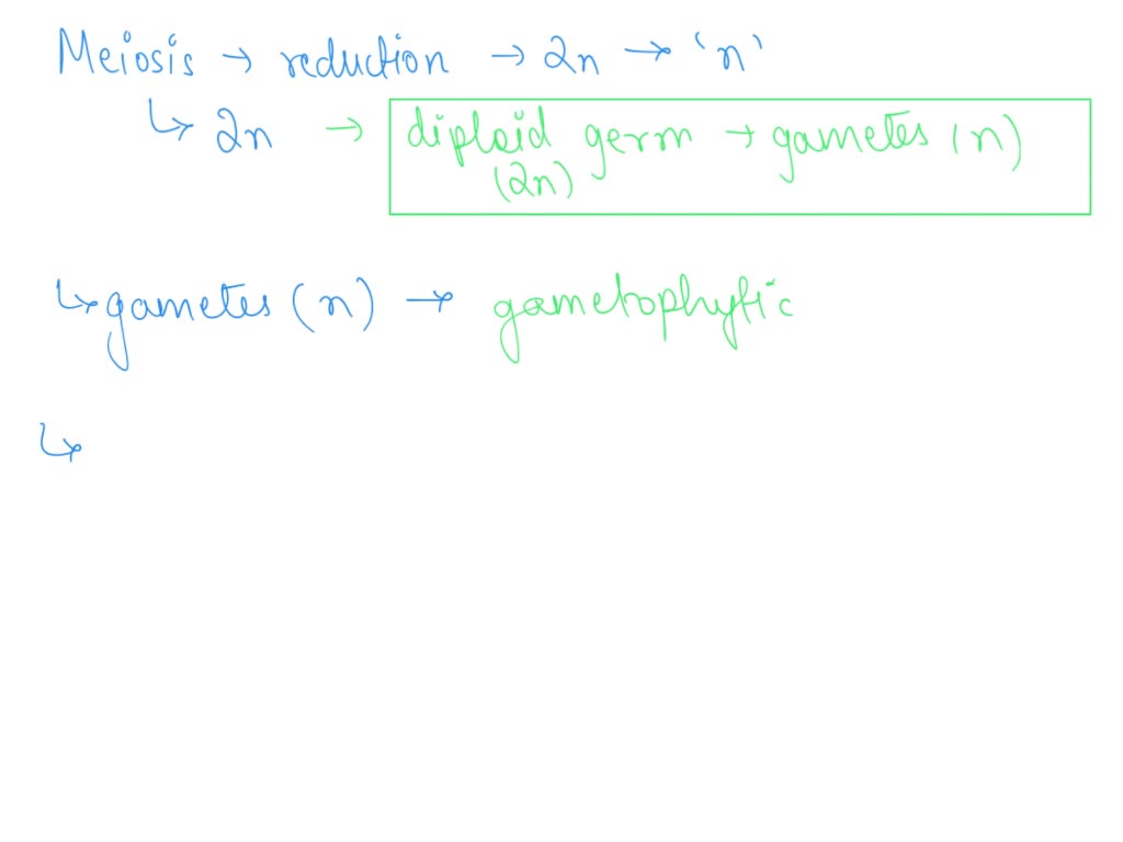 SOLVED: Compare the two-generation life cycle called alternation of ...