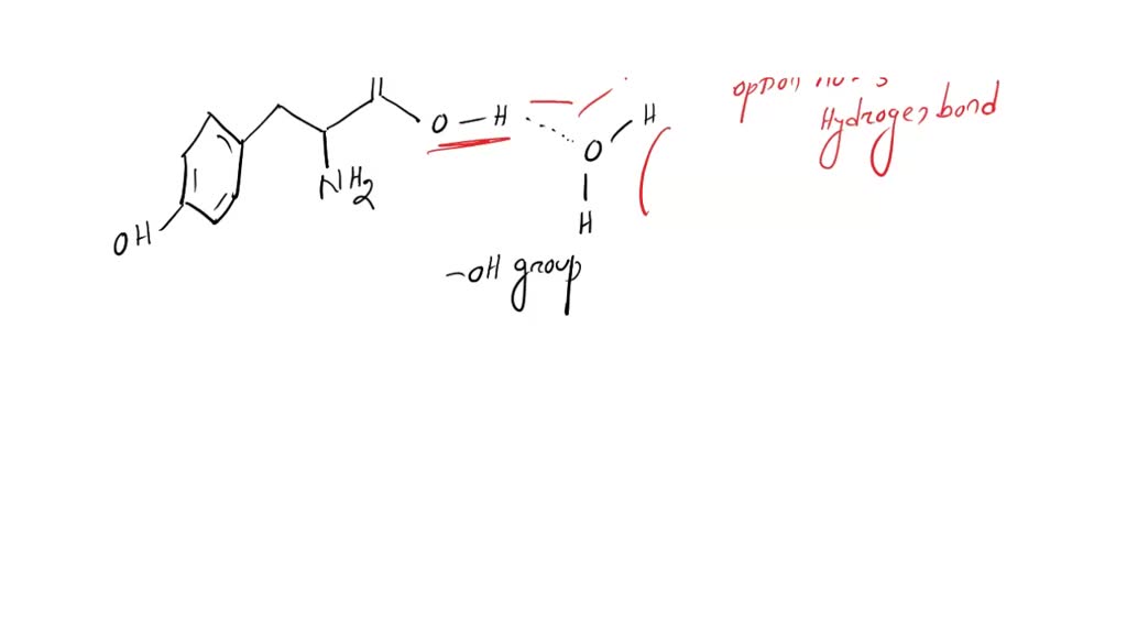 SOLVED: QUESTION 3 Which interaction occur between water and the side ...