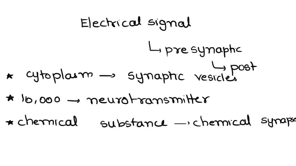 SOLVED: Texts: Hi, please solve and explain! Thank you! 4. If you stimulate the synapses below ...