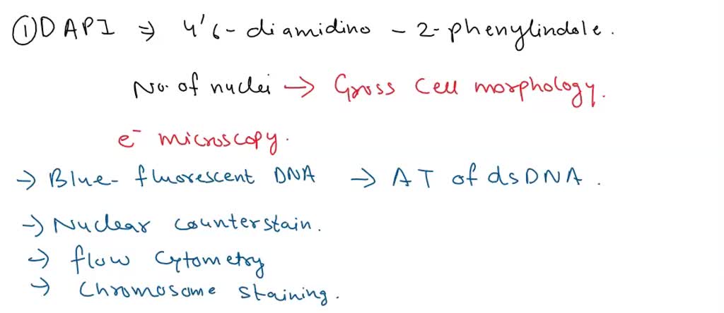 SOLVED: List some of the practical applications that are representable ...