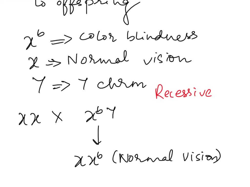 SOLVED: A girl of normal vision, whose father was colorblind, marries a ...
