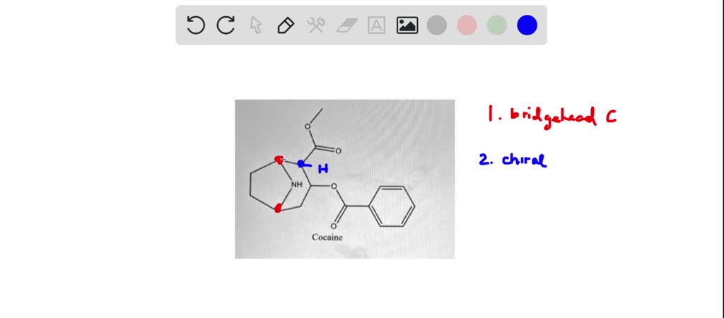 SOLVED: Circle any bridgehead carbons the following structure of ...
