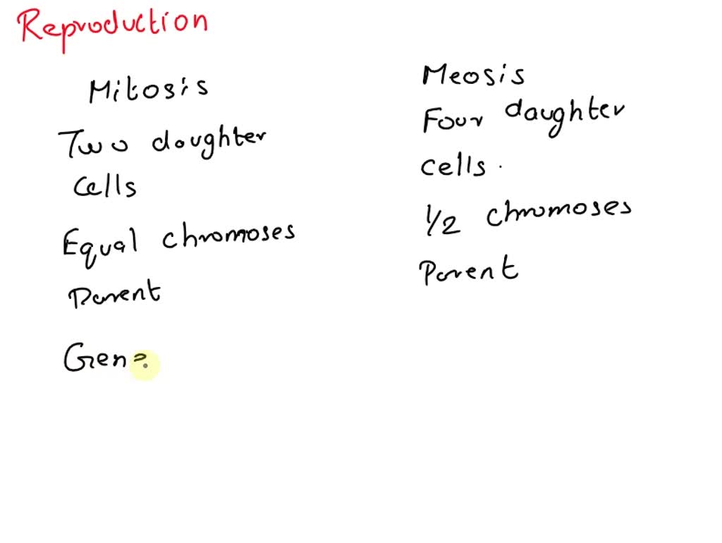 SOLVED: Based on what you know about the daughter cells that form by ...