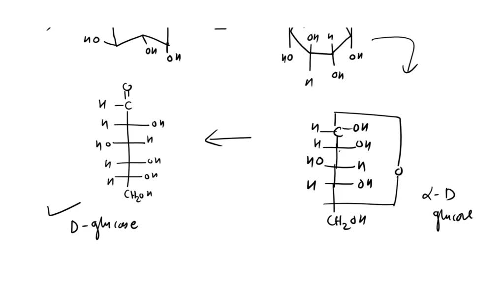 SOLVED: 1. Draw the mechanism of D-mannose from open chain form to cyclic form. 2. Rutinose is a ...
