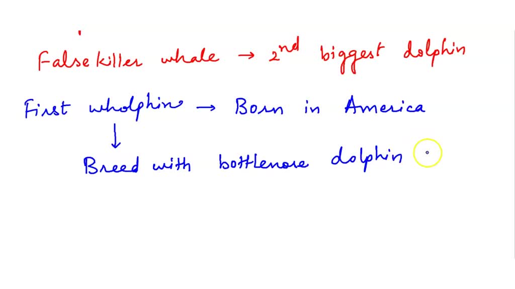 SOLVED: A "wholphin" is a rare animal produced by the mating between a ...