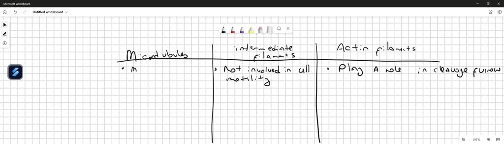 Classify each description, image, or example as the appropriate component of the cytoskeleton ...