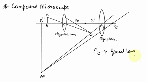 Compound Microscope Ray Diagram