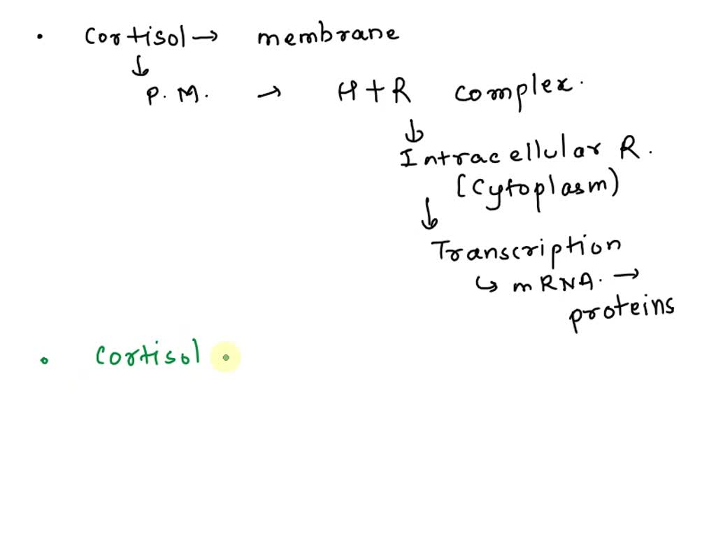 SOLVED: Cortisol is a steroid hormone that can pass through the plasma ...