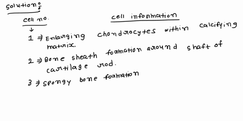 ***Label the Types of Ossification to the Bone Drag one of...