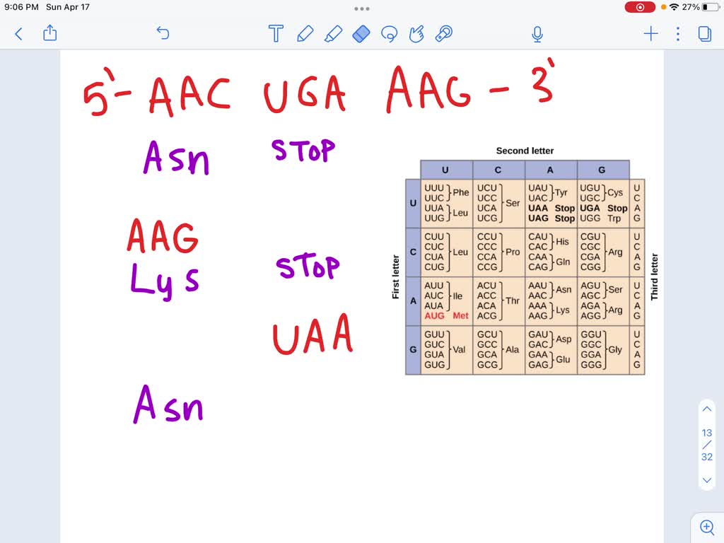 SOLVED: Consider the following mRNA sequence: 5'-AAC UGA AAG 3'. What ...
