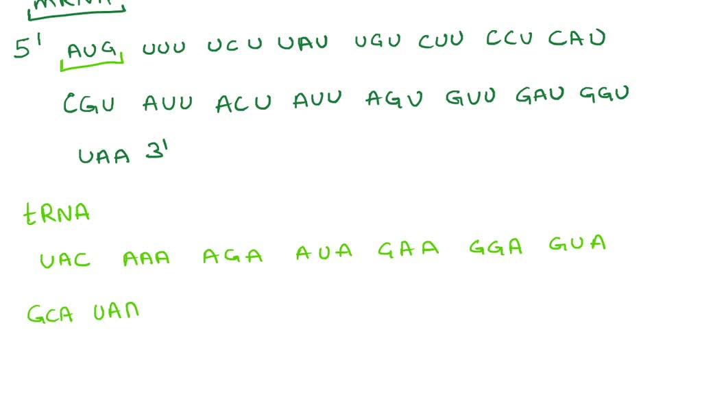 SOLVED:5’-ATG TTT TCT TAT TGT CTT CCT CAT CGT ATT ACT AAT AGT GTT GAT ...