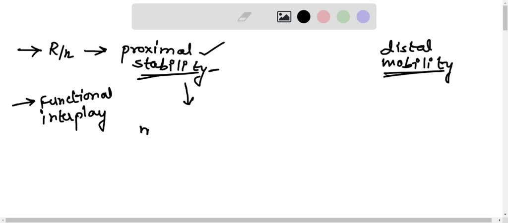 Explain the relationship between proximal stability and distal mobility ...