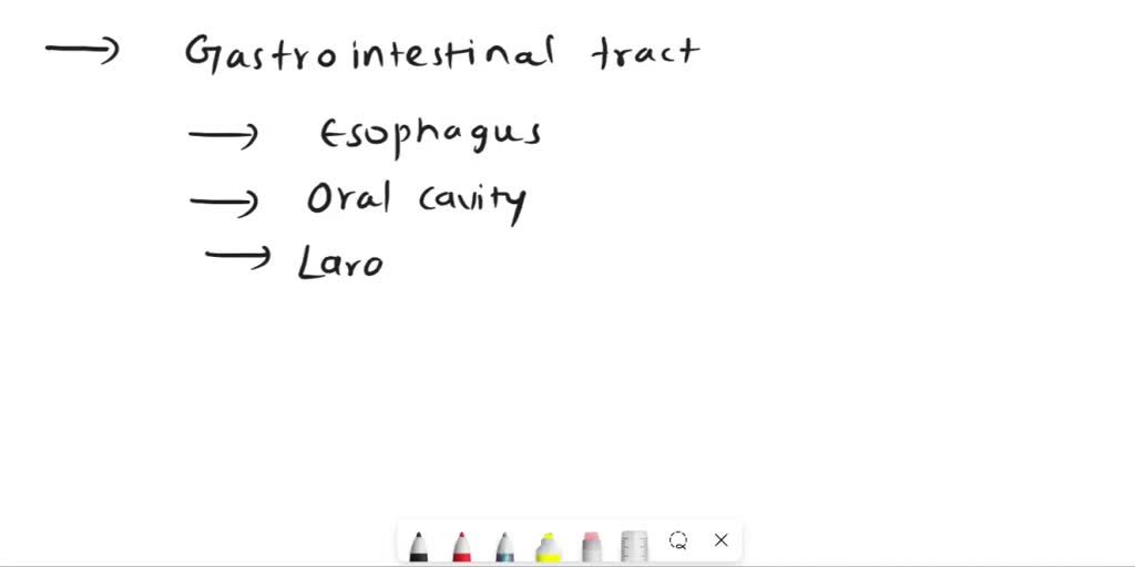 SOLVED: Major organ role In the digestive system, which major organ ... SOLVED: Major organ role In the digestive system, which major organ ...