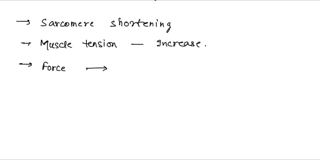 SOLVED: Explain how muscles as a whole produce sustained force without ...