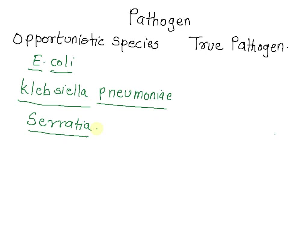SOLVED: Francisella tularensis Campylobacter jejuni Escherichia. coli O157:H7 Salmonella typhi ...