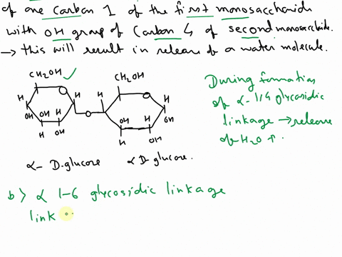 4. Draw the structure of any disaccharide formed from...